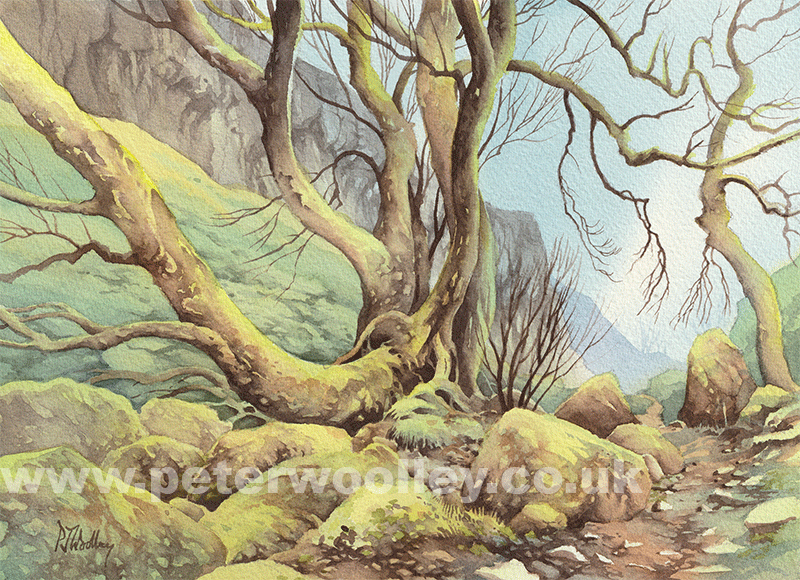 Mossy Trees and Rocks, Lathkill Dale (Original Watercolour) – Peter ...