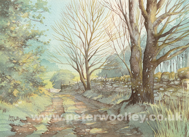 Telfit Bank, Marske (Original Watercolour) – Peter Woolley Online Shop